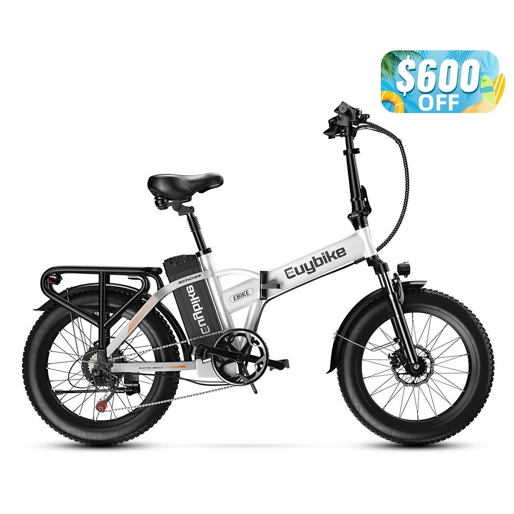 Euy F6 Long Range Fat Tire Electric Bike – euybike