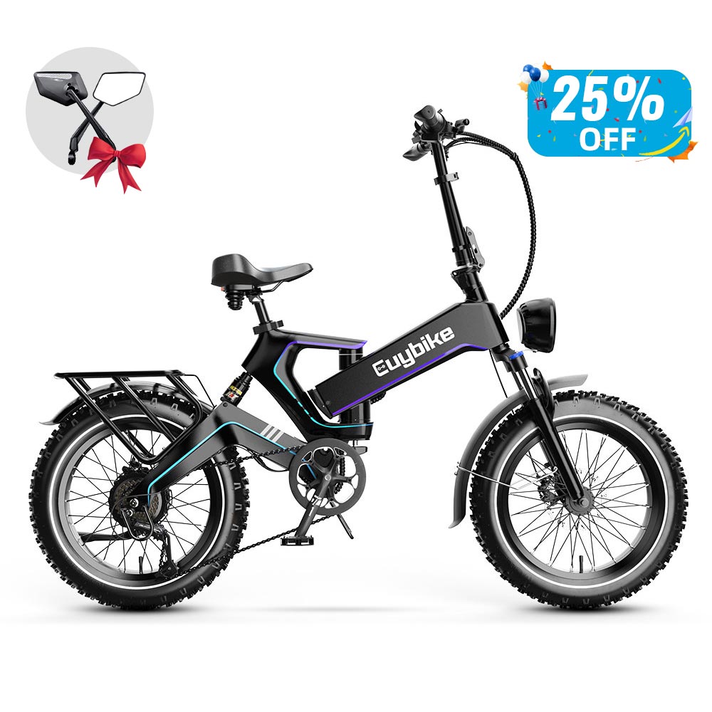 Euybike K6 Plus (K6T) Fat Tire Electric Bike – euybike